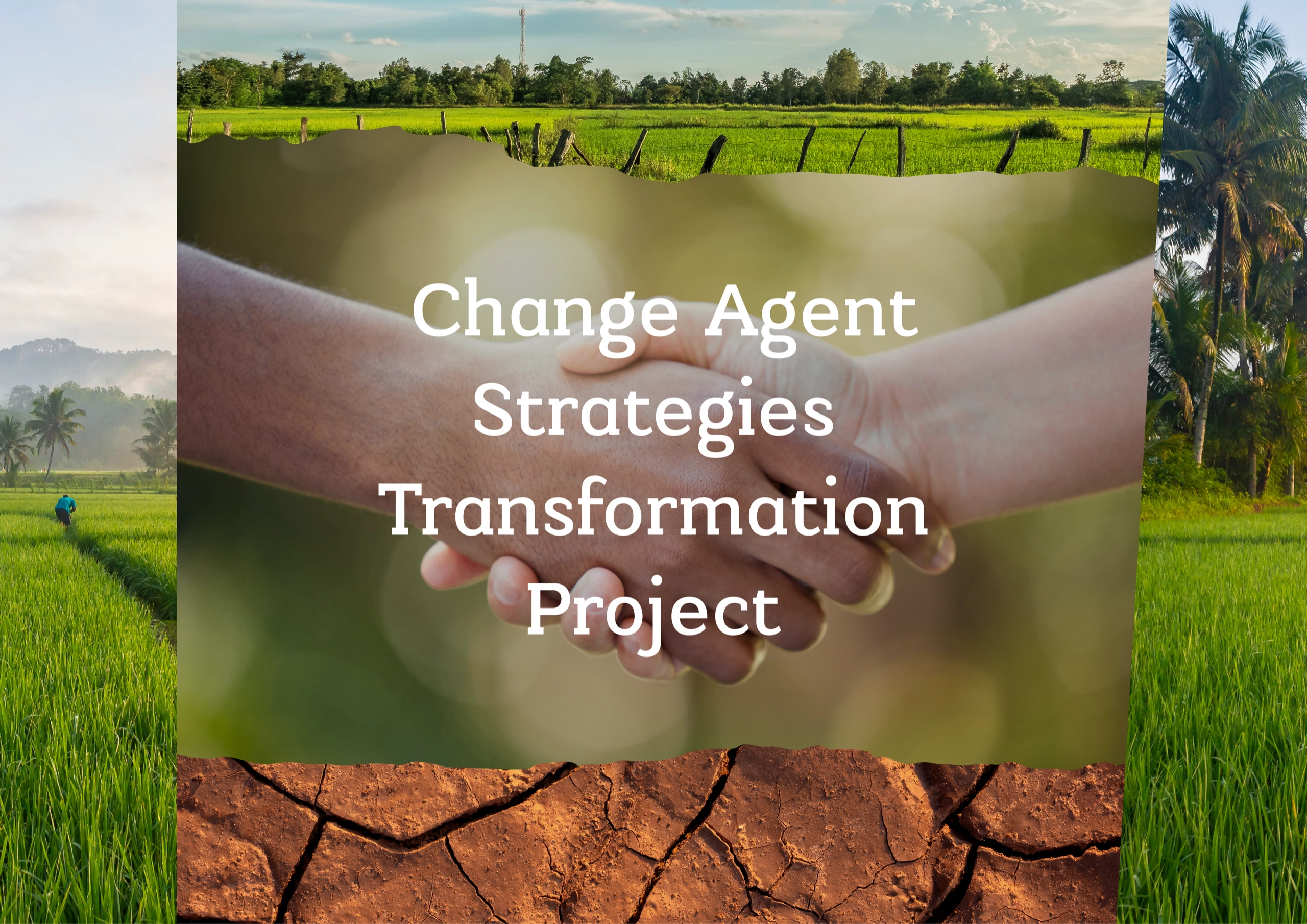 Change Agent Strategies Transformation Project – Sustainable Fashion